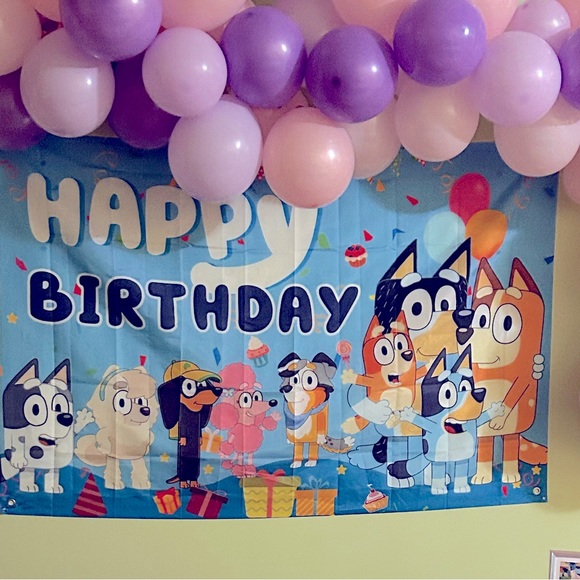 Party Supplies | Bluey Backdrop | Poshmark